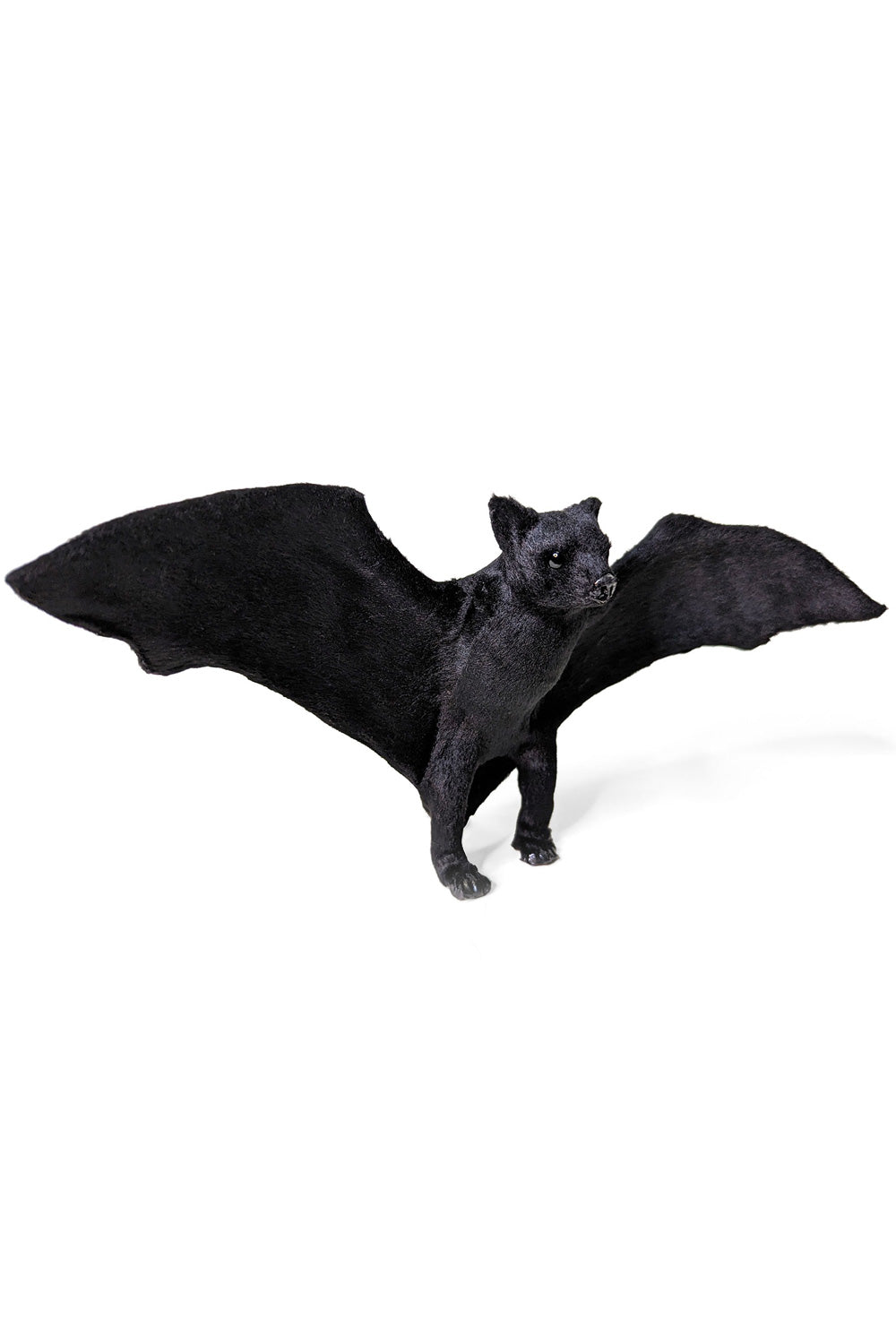 Lair Bat Figurine 11" – VampireFreaks
