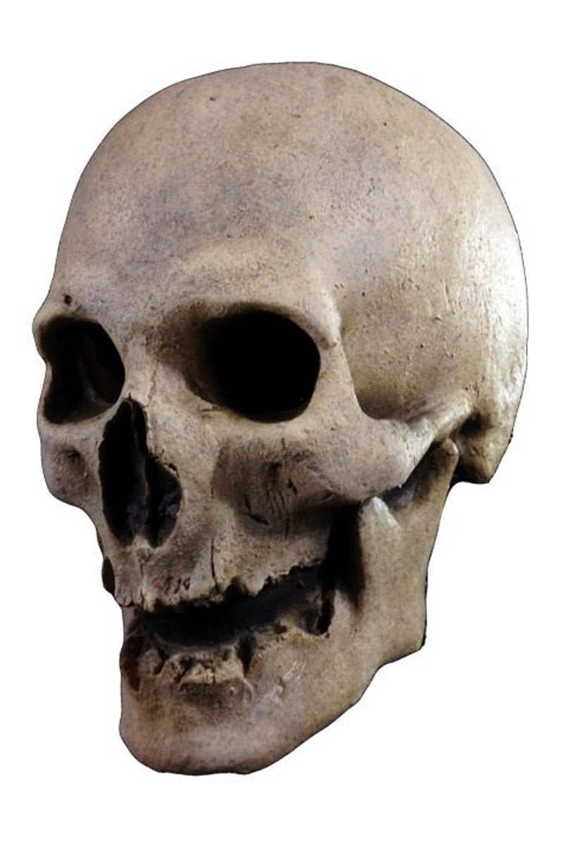 Antique Skull Mask – VampireFreaks