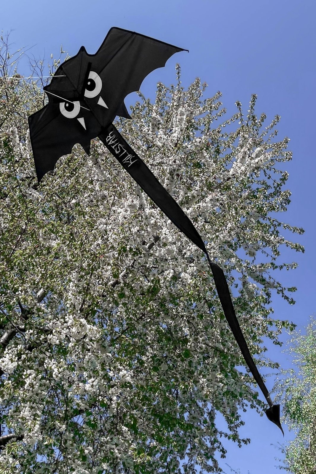 Bat Kite – VampireFreaks