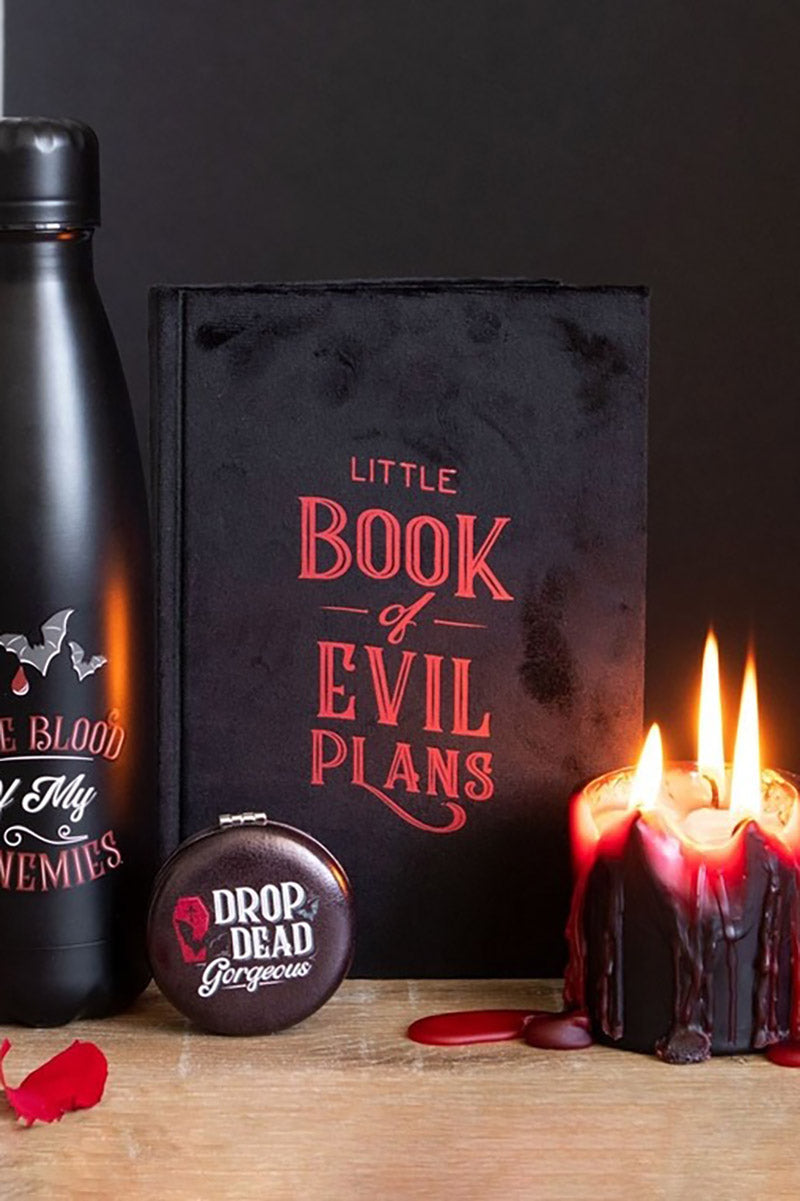 Little Book Of Evil Plans Notebook [Gothic Vampire Velvet] – VampireFreaks