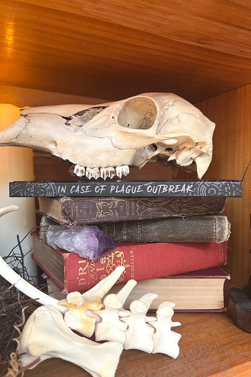 Plague Doctor Journal – VampireFreaks