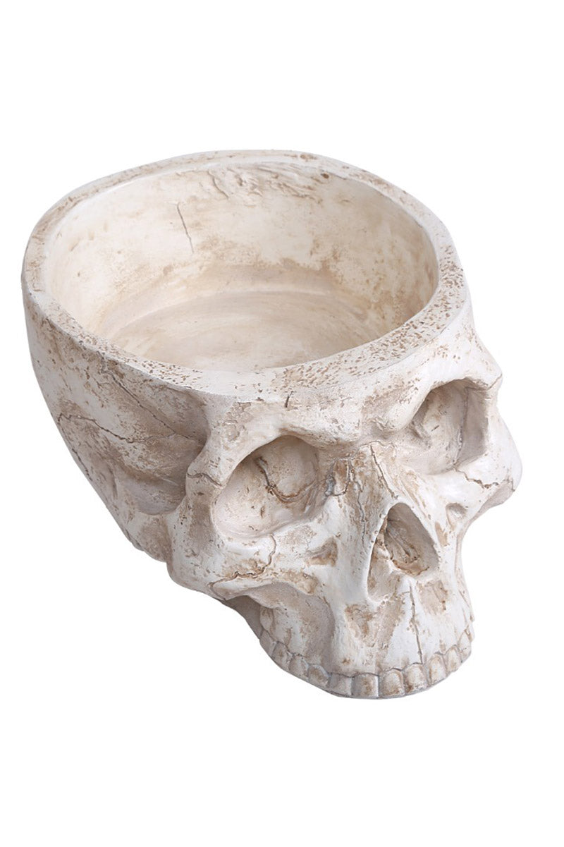 Skull Planter – VampireFreaks