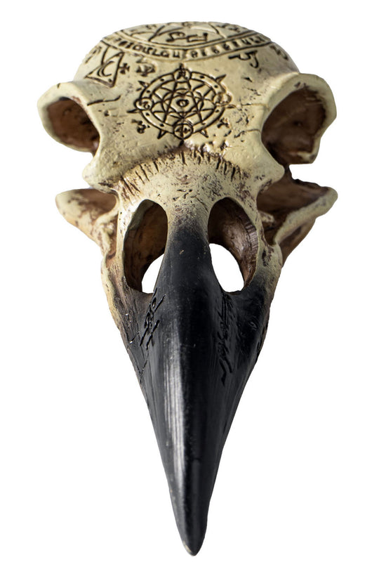 Omega Raven Skull – VampireFreaks